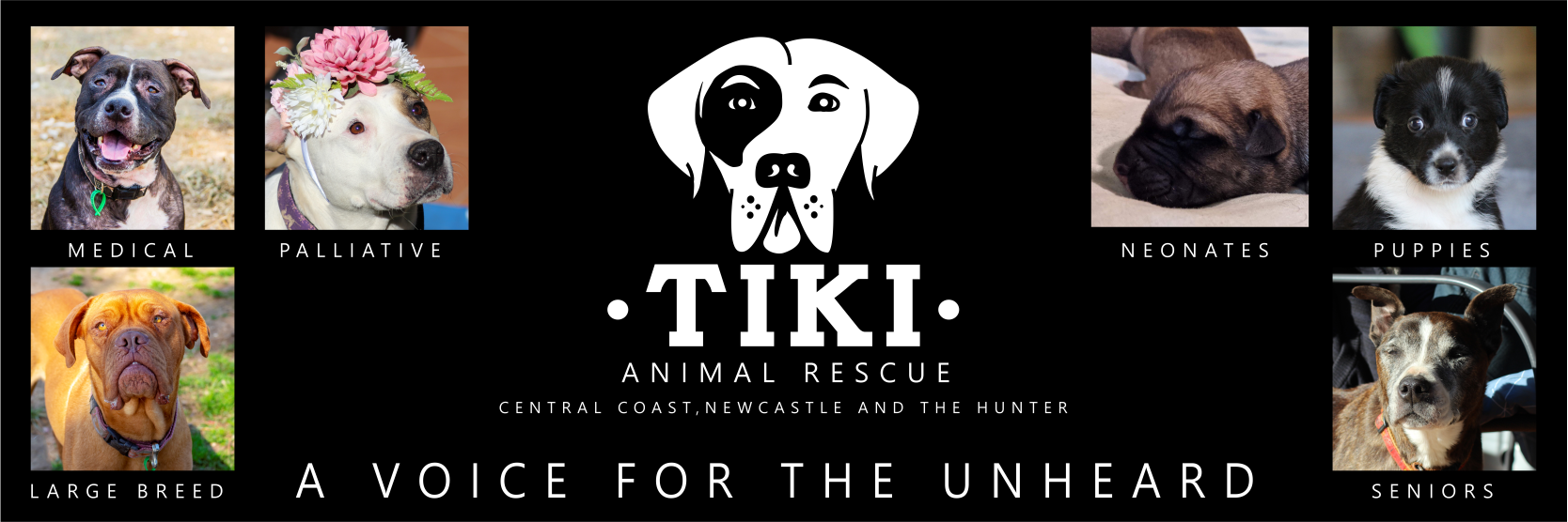 Tiki Animal Rescue – Tiki Animal Rescue